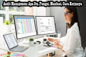 Audit Manajemen: Apa Itu, Fungsi, Manfaat, Cara Kerjanya - Mboton