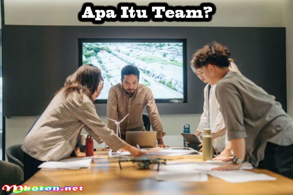 Mengenal Team: Jenis, Struktur, Manajemen Kolaborasi Efektif - Mboton