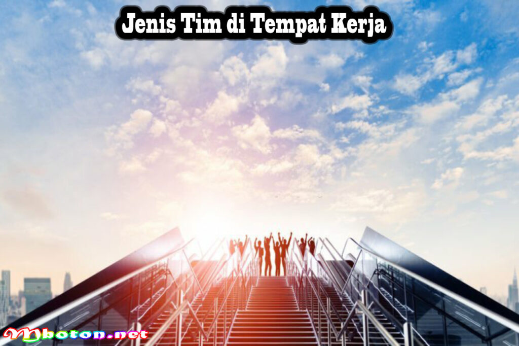 Kenali Jenis Tim: Tujuan Untuk Berkolaborasi Yang Efektif - Mboton