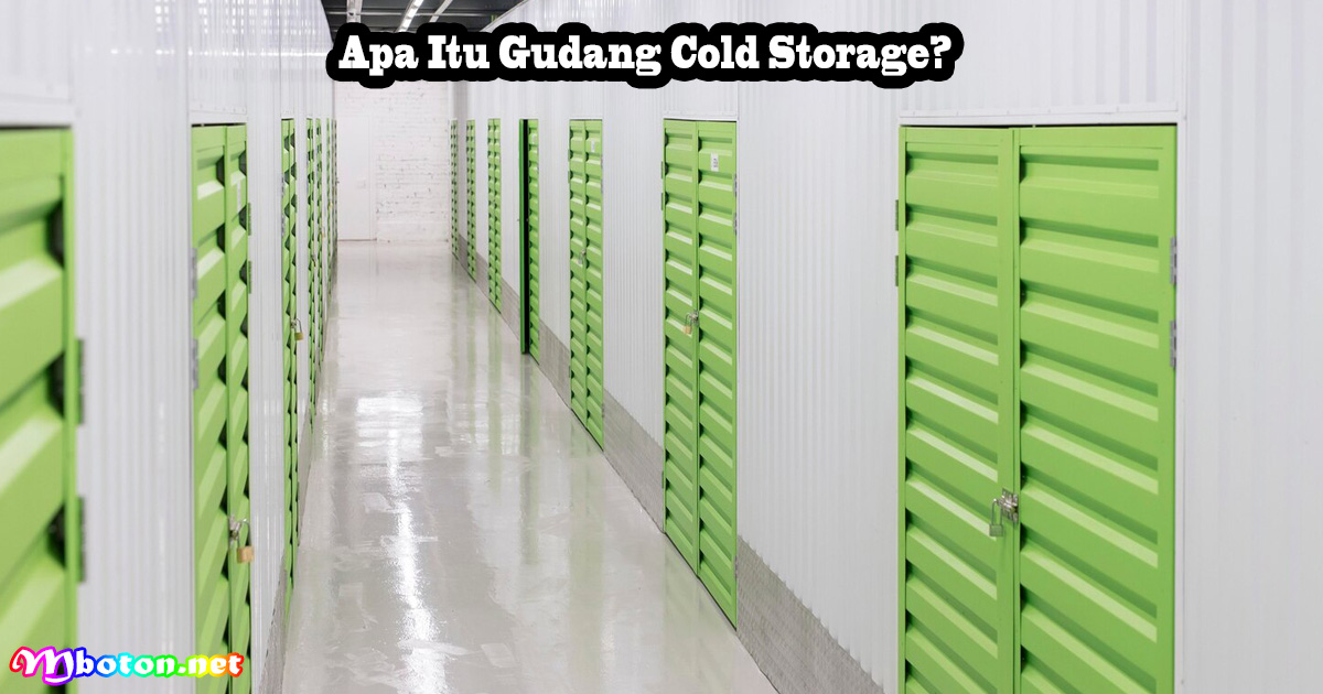 Gudang Cold Storage: Apa Itu, Fungsi, Manfaat, & Fiturnya - Mboton