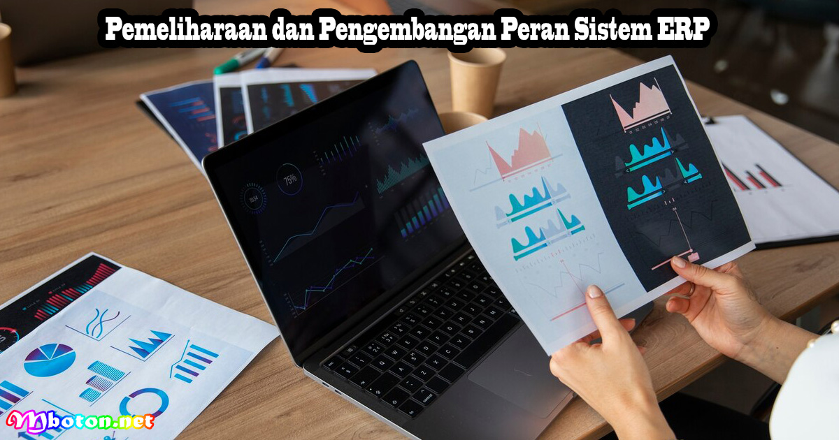 Peran Sistem ERP Dalam Meningkatkan Bisnis Efisiensi Perusahaan - Mboton