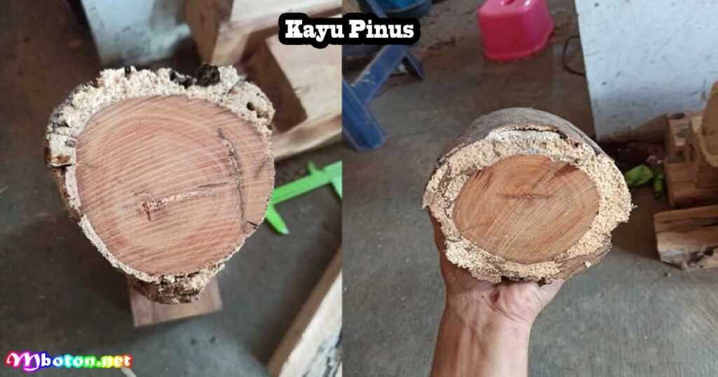 10 Jenis Kayu Terbaik Sering Digunakan Membuat Kursi - Mboton