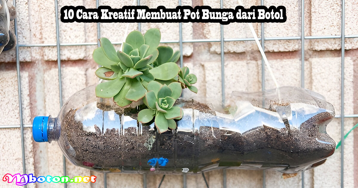 10 Sederhana Cara Membuat Pot Bunga Dari Botol - Mboton